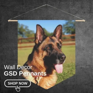 German Shepherd Coat Color Patterns and Variations